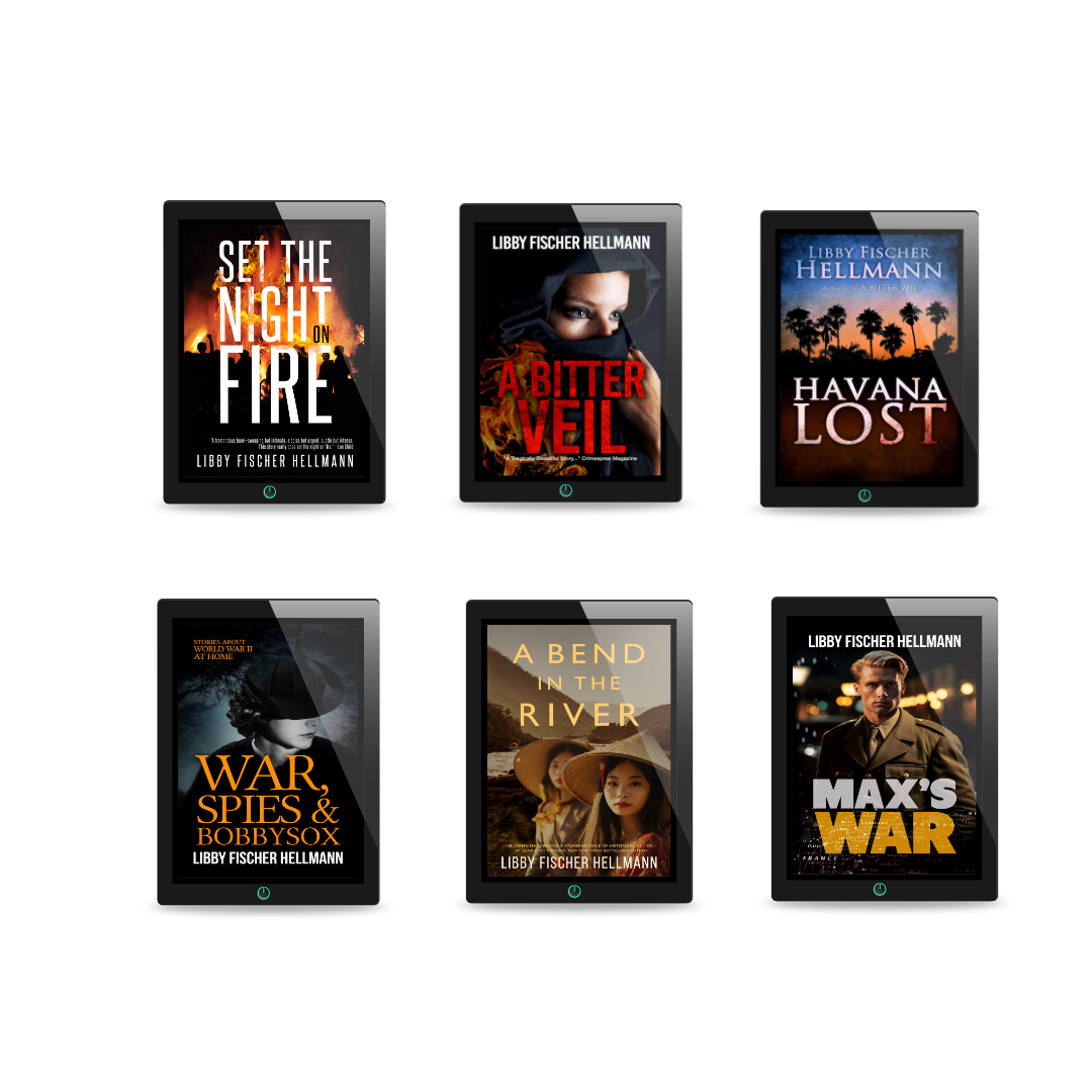 Saga Series Bundles – Libby Fischer Hellmann